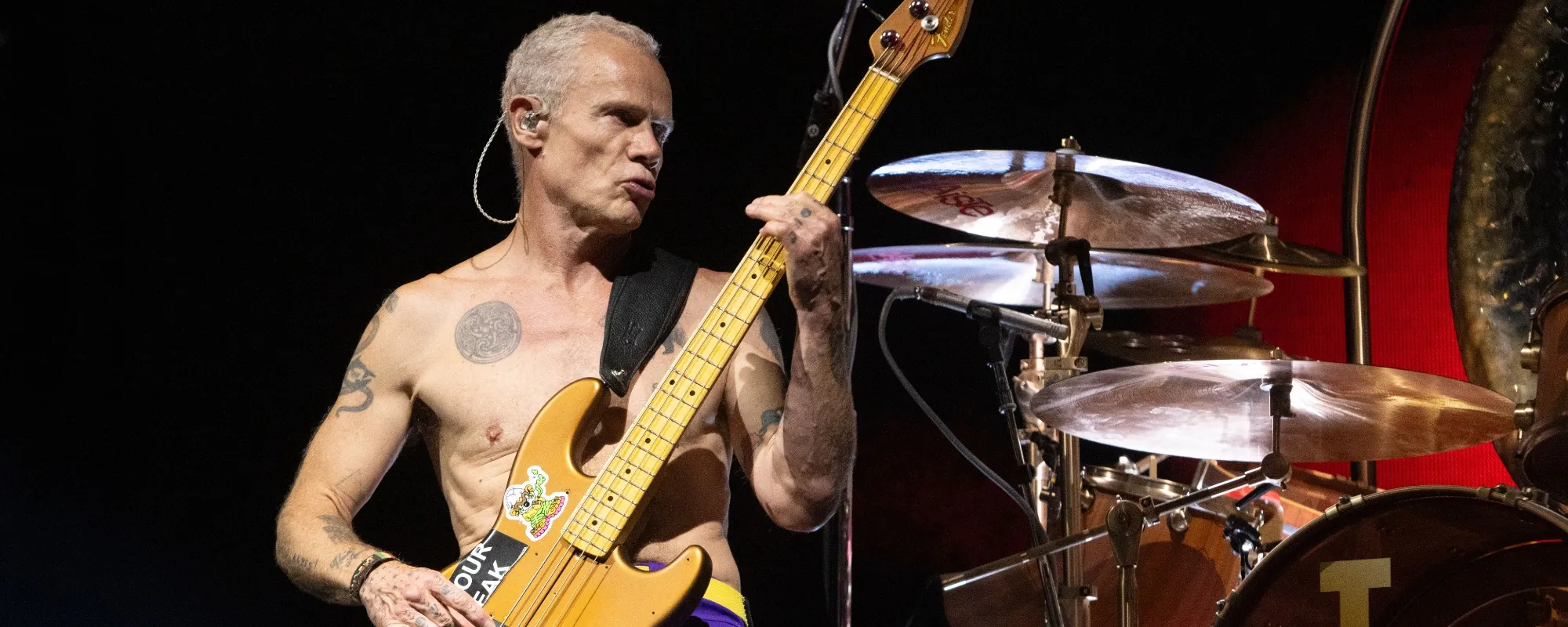 3 Legendary Musicians Who Made the Bass Guitar Iconic | SEE ROCK LIVE
